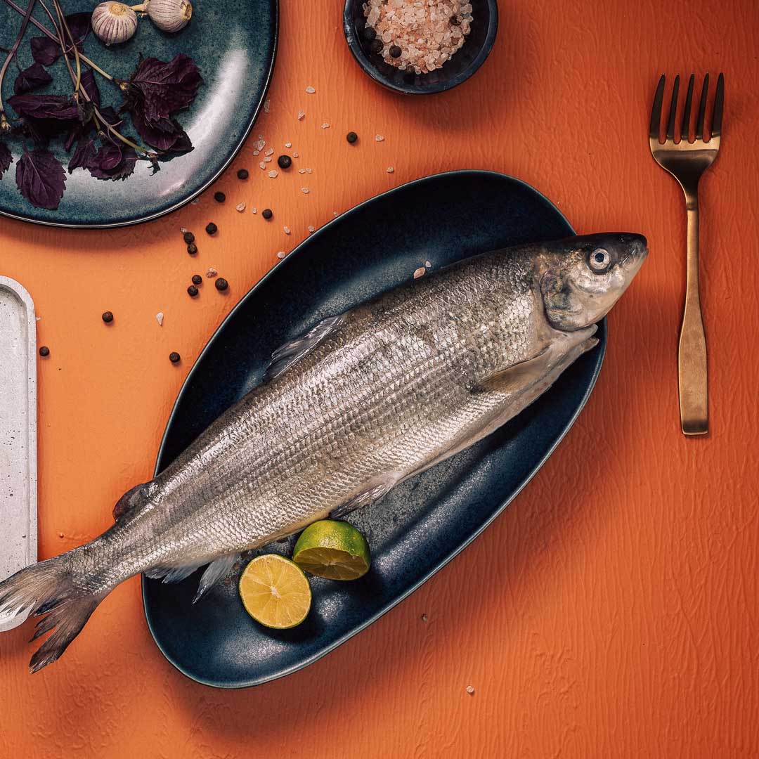 Yhteys - Benella Kala