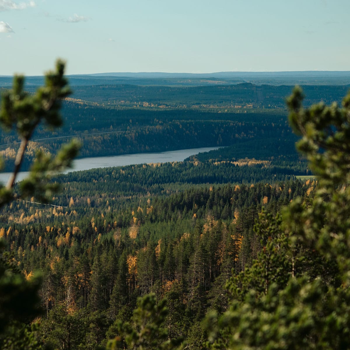 Yhteys - Benella Kala